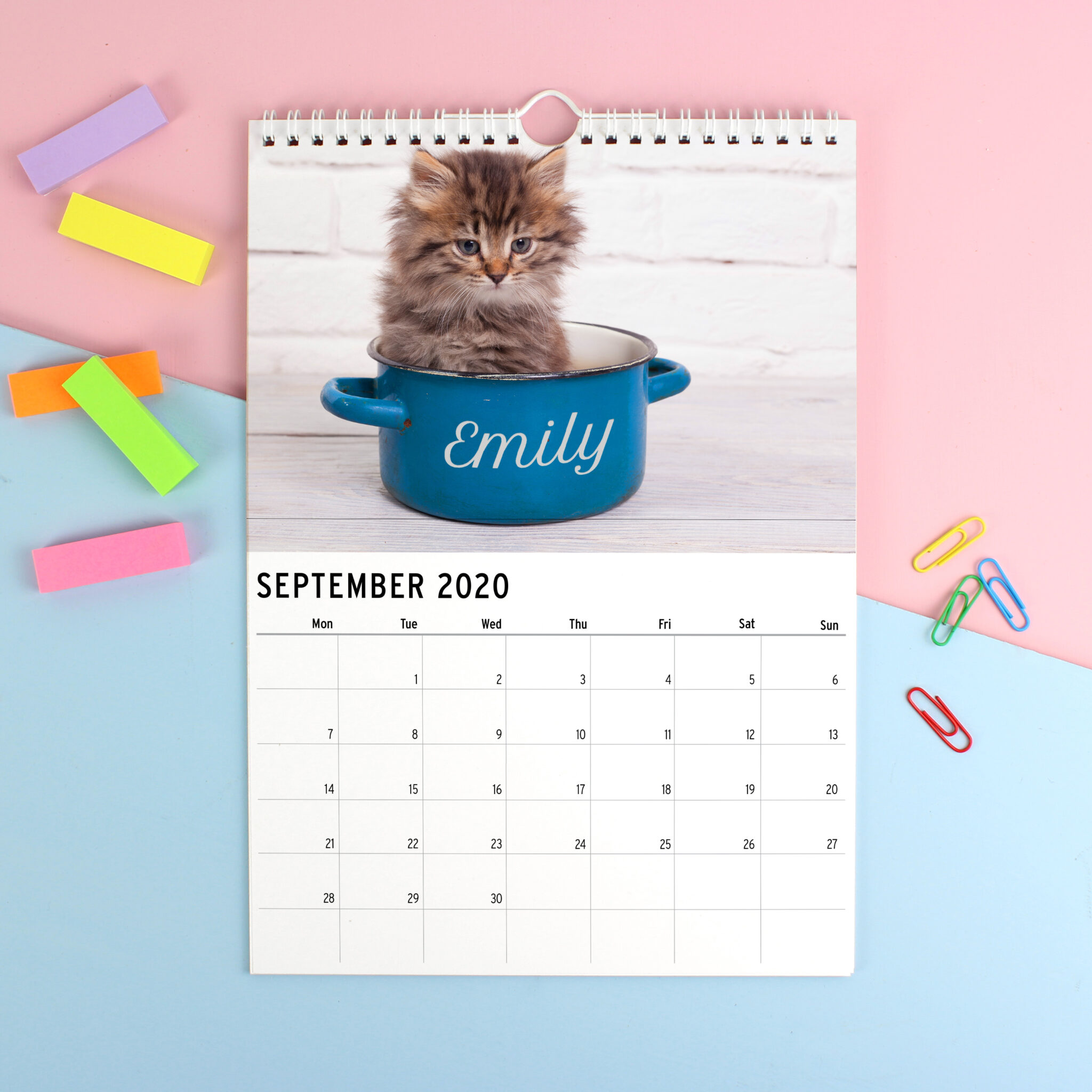 Personalised A4 Cats & Kittens Calendar - Personalised Gifts For Every ...