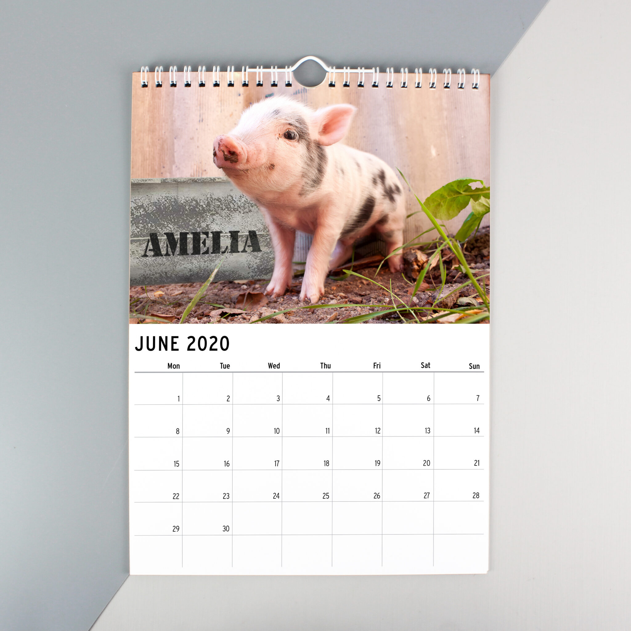 Personalised A4 Cute Animals Calendar - Unique Gift Ideas For Someone ...