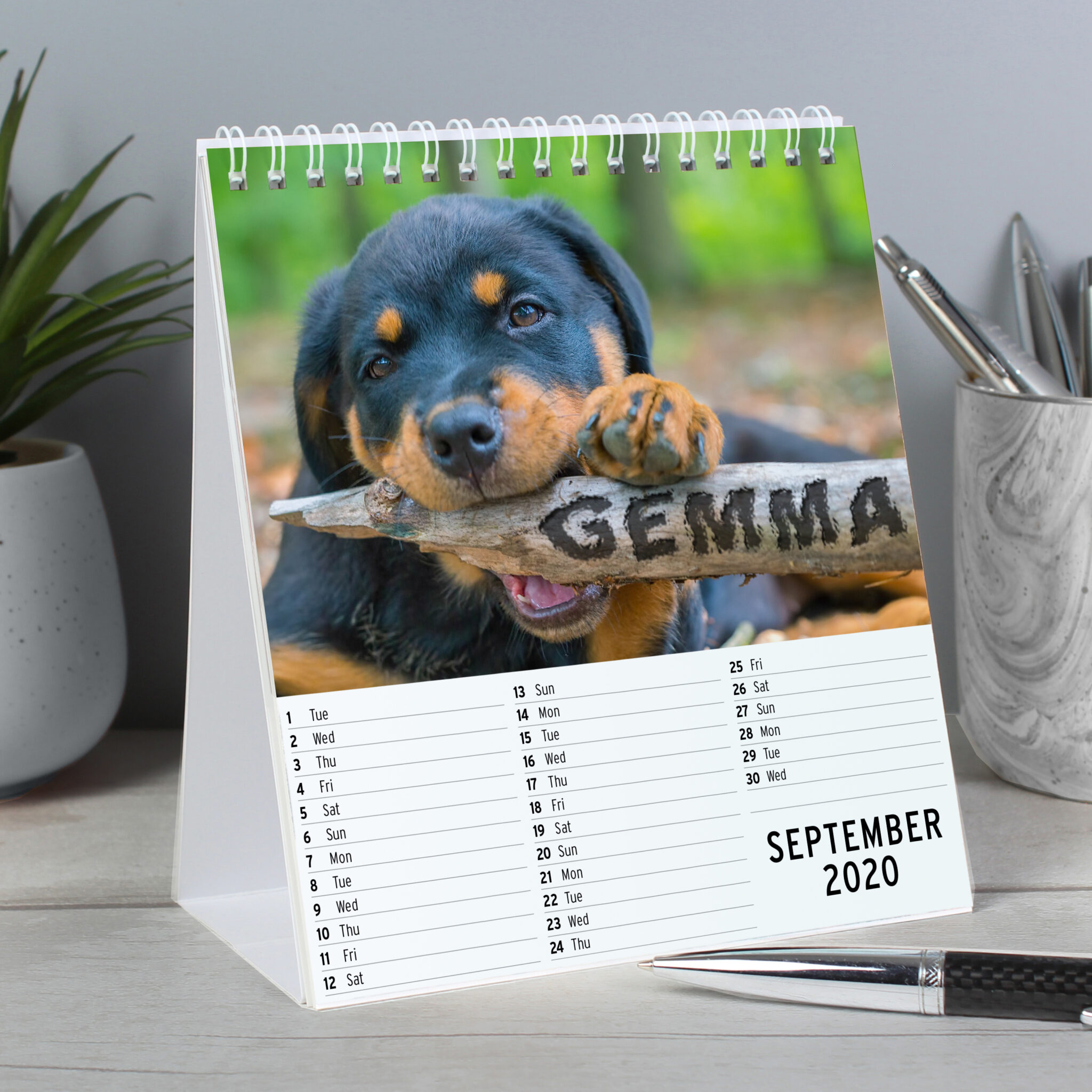 Personalised Barking Mad Dog Desk Calendar - Personalised Gifts For ...