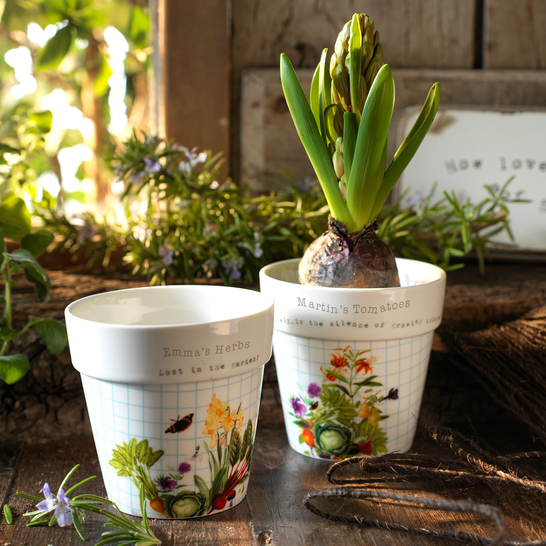 RHS Planter Set - Personalised Gifts For Every Occasion at I Want To ...